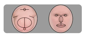 Evolutionary Biology Says Your Face Evolved to Look Like a Butt