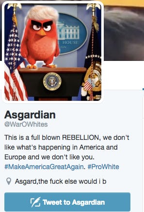 Donald Trump-Supporting White Supremacists Really Love the Angry Birds ...