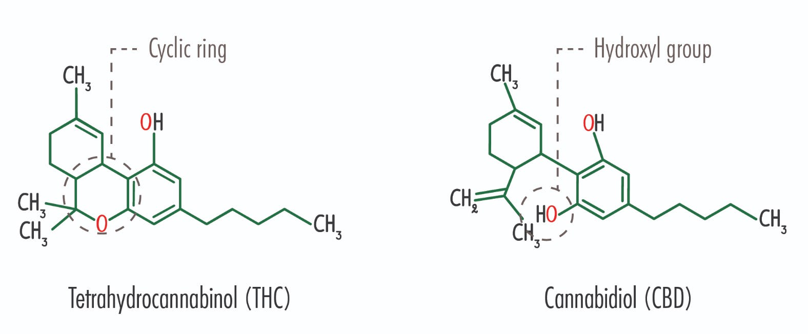 World Cup 2018: WADA Takes Marijuana-Derived CBD Off Banned Substances List