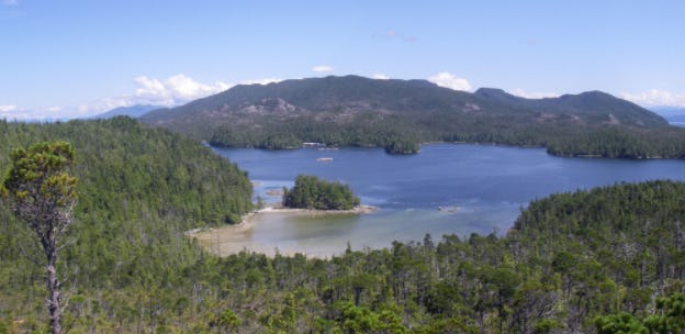 Footprints Found off Canadian Coast are 13,000 Years Old, Study Discovers