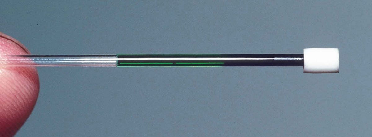 Acid Green Blood Evolved in Lizards, Has Implications for Human Health