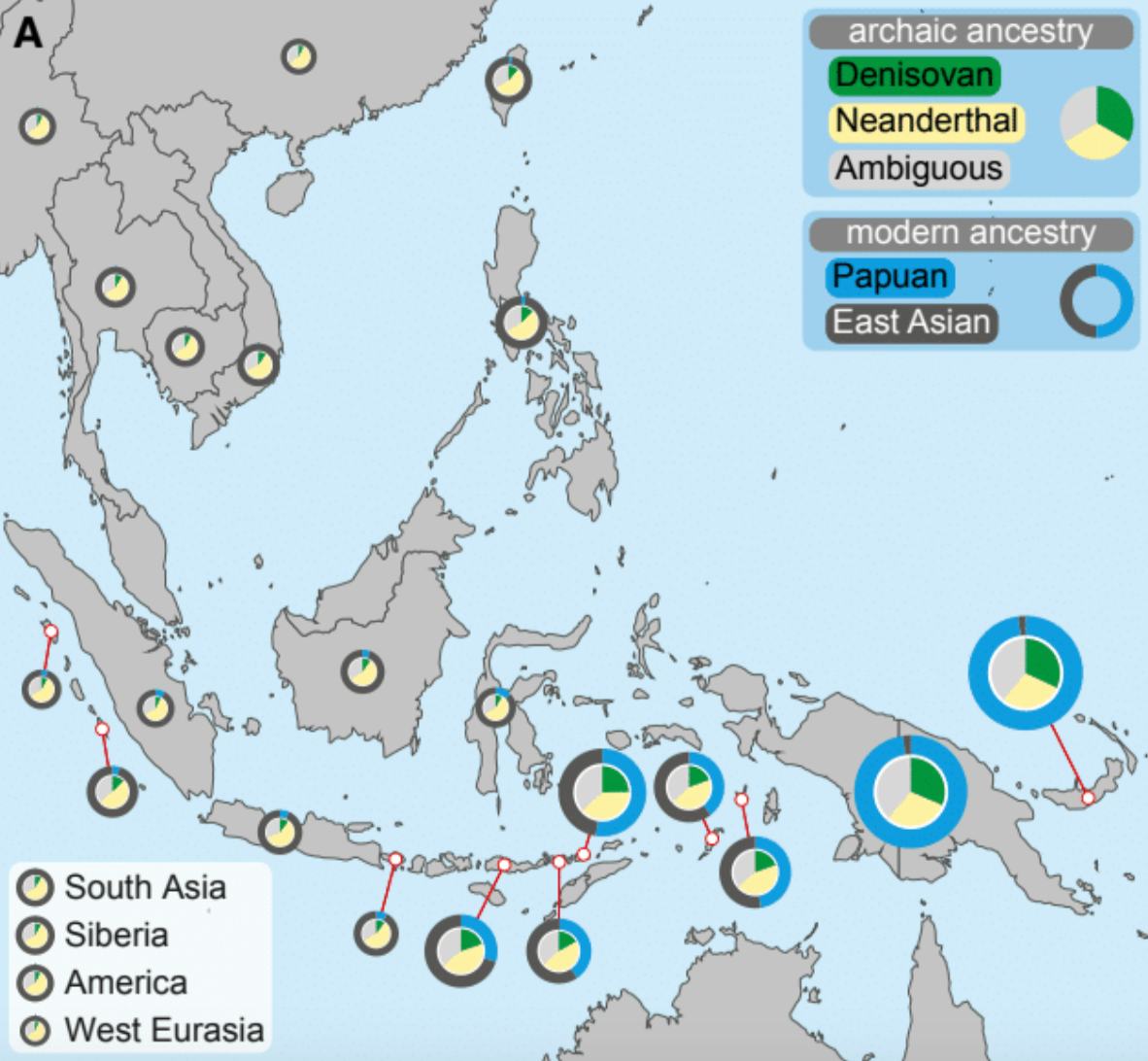 A New Species of Ancient Human Was Uncovered in the DNA of Living Papuans