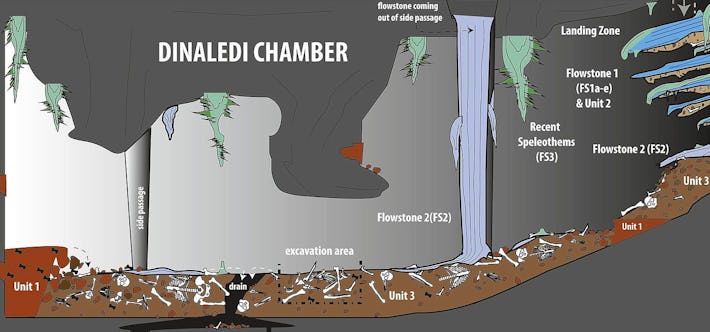 Bones Study Finds Sites of Ancient Burials Were Actually Carnivore Dens