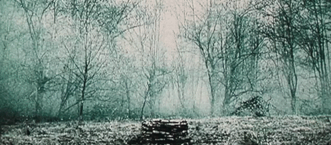 The 'Rings' Premiere Would Wipe Out Over a Million People