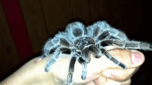 How Nope Became the Internet's Favorite Way to Say No