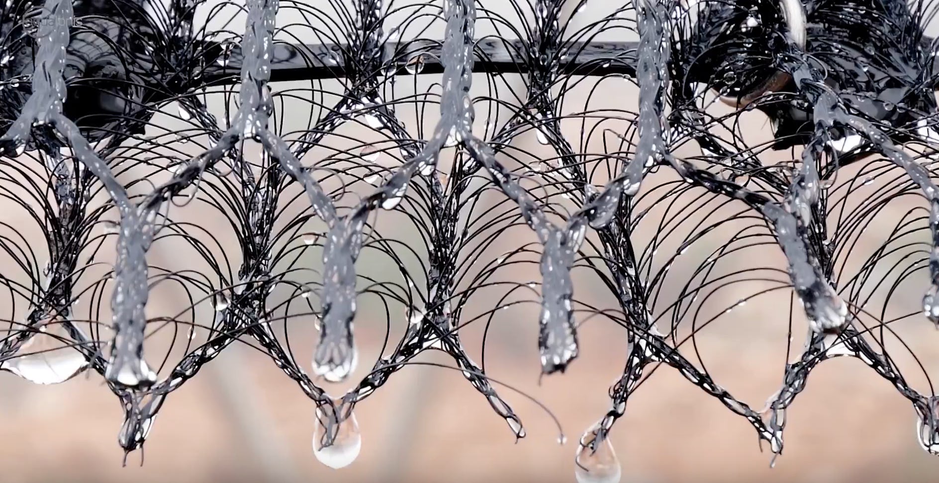 How Fog Harvesting Technology Provides Sustainable Clean Water for Villages