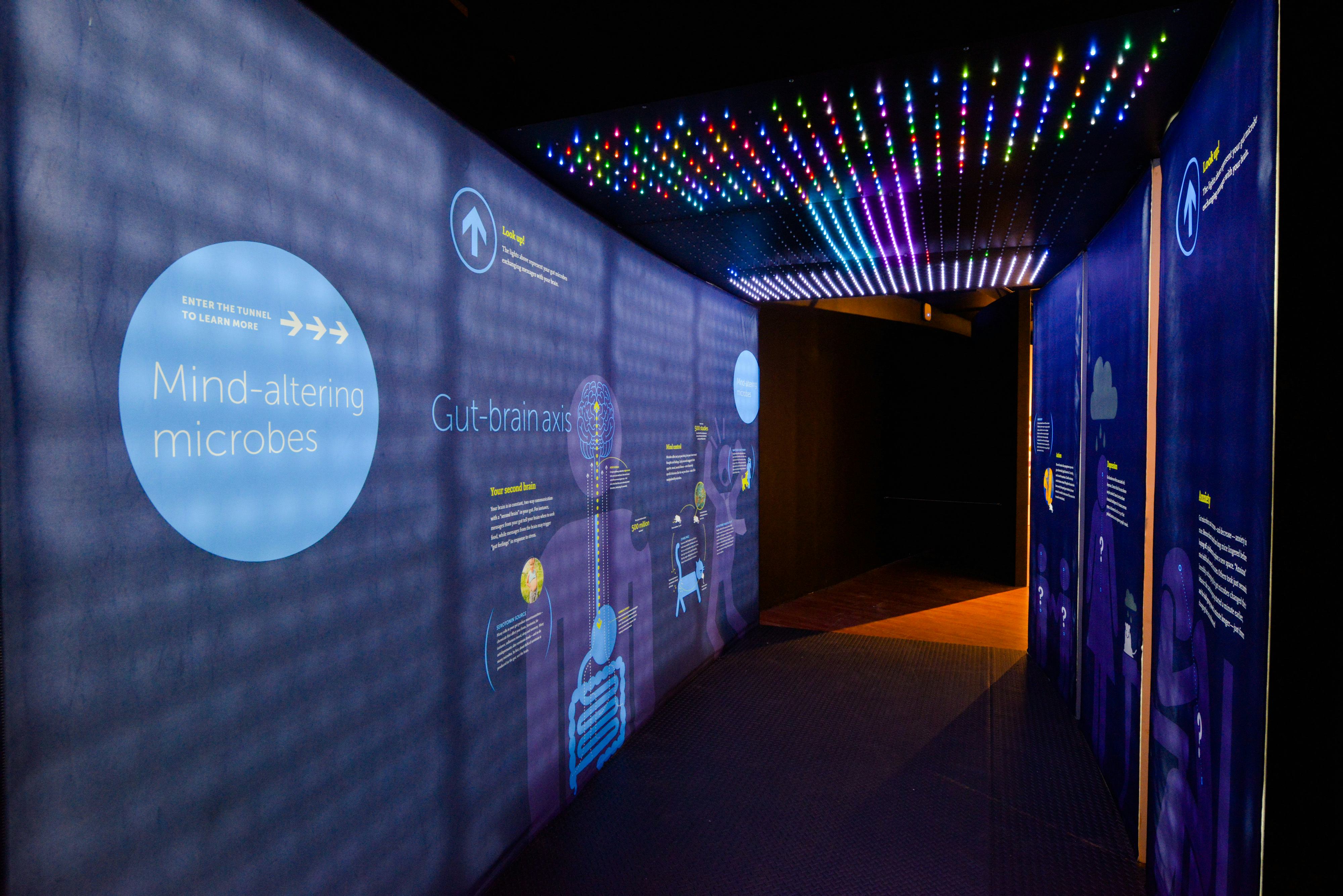 I Contain Multitudes: Microbiomes at the American Museum of Natural History