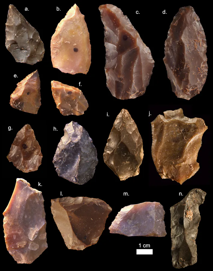 Homo Sapiens Are 100,000 Years Older Than We Thought