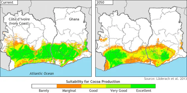 Chocolate Is Going Extinct but Scientists Have a Wild Plan to Save it