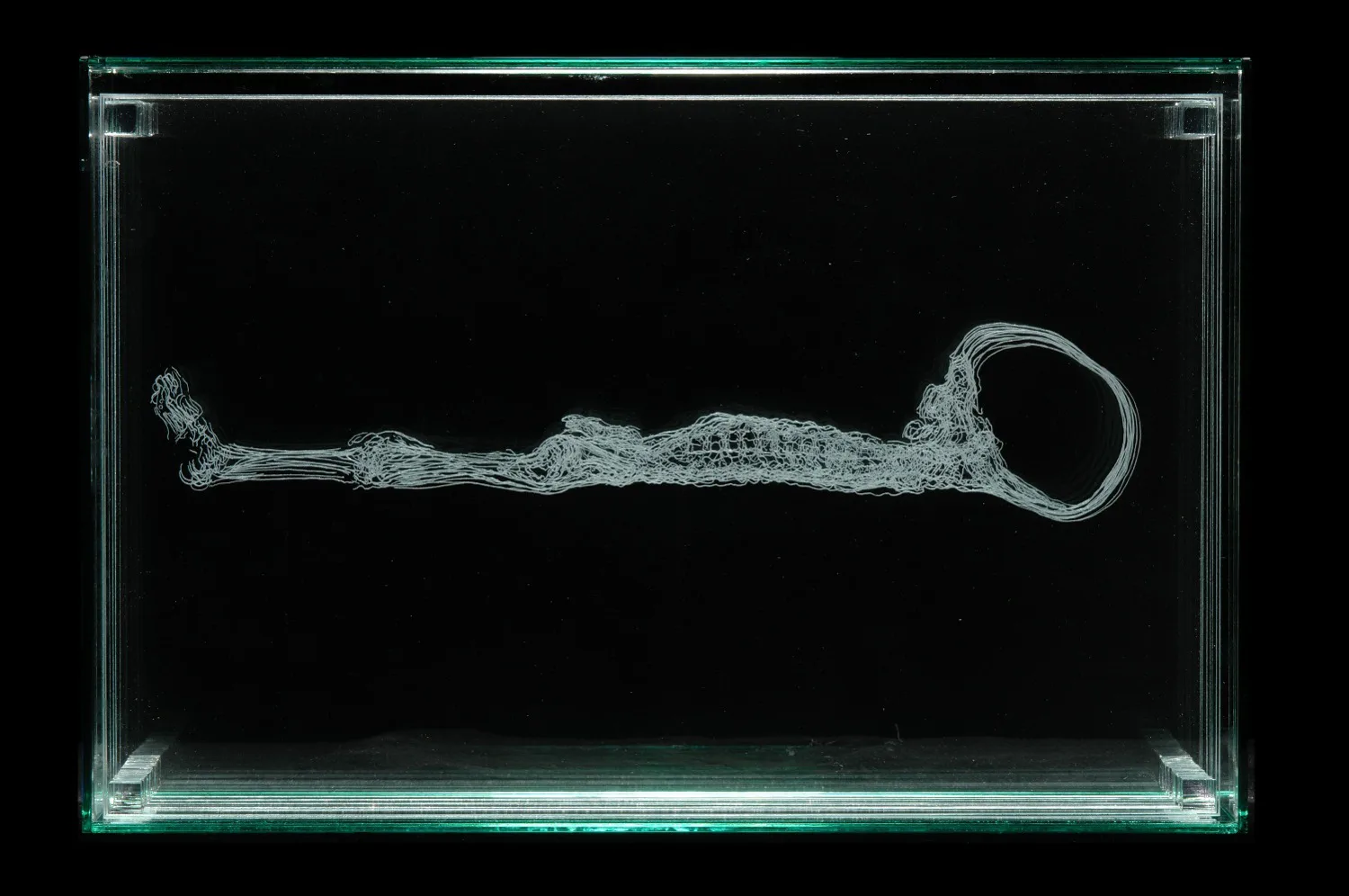 Modern Artist Angela Palmer on Sculpting From Science