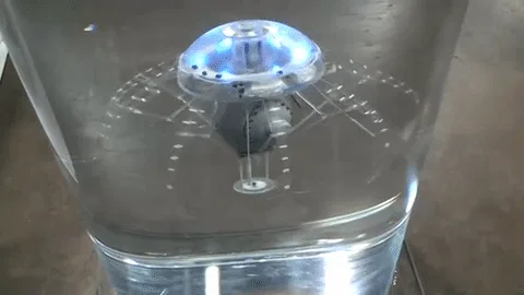 5 Robot Animals You Need to Know About