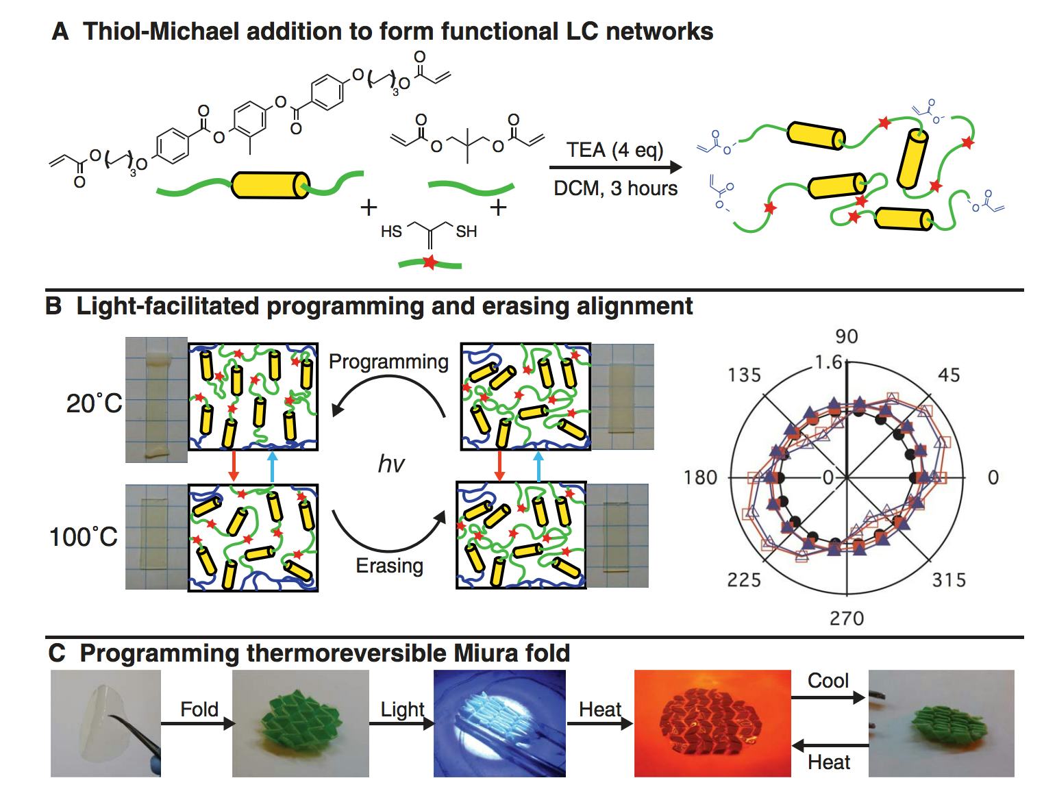Shapeshifting Material Transforms Under Light and Heat