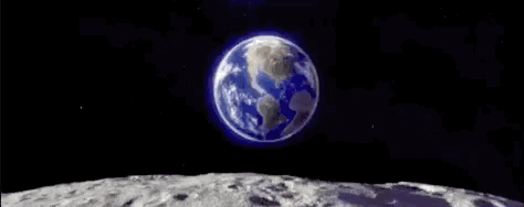 Nocturnal Mammals Became Day Dwellers After Dinosaur Extinction