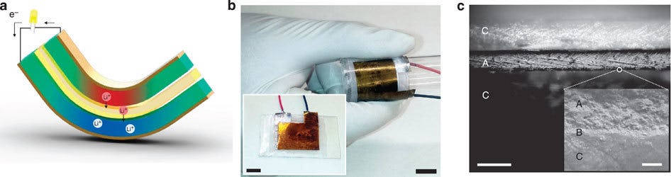 This Stamp-Sized Pair of Electrodes Turns Humans Into Batteries