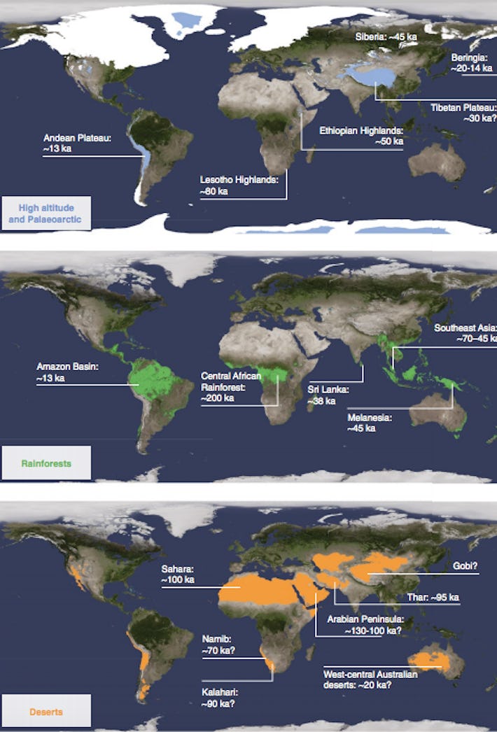 New Theory Explains Why Homo Sapiens Outlived the Neanderthals