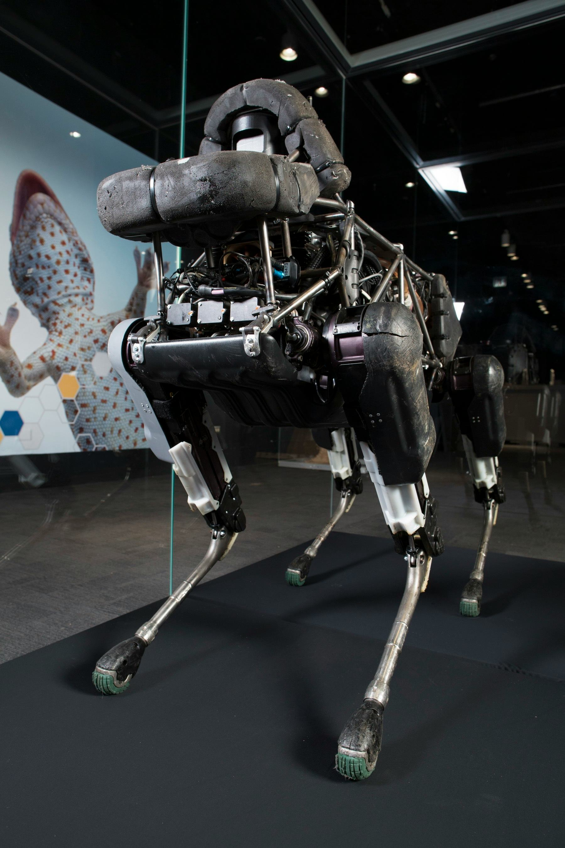 DARPA's Insane Robots Take Over Chicago’s Museum of Science and ...