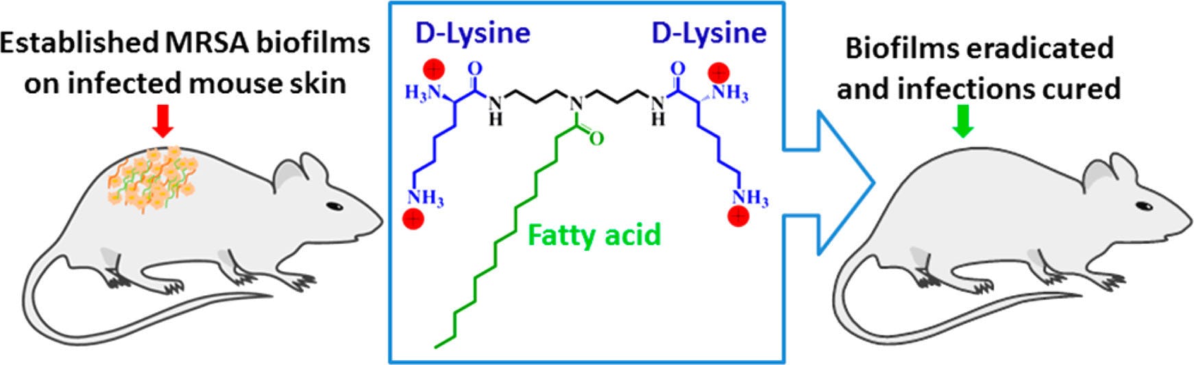 New Drug Could Treat Superbugs Without Fostering Resistance