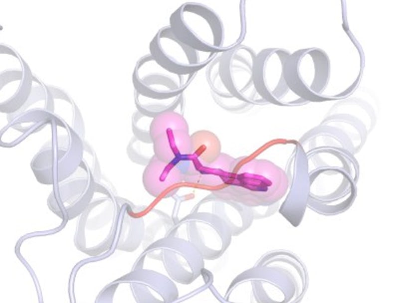 This Is Why Acid Trips Can Last For 20 Hours