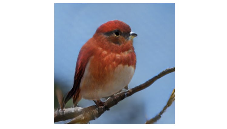 Microsoft's Latest AI Creation Reveals How Much Computers Can Imagine