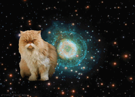 Giphy CEO Alex Chung Says GIFs Are the Future of Communication