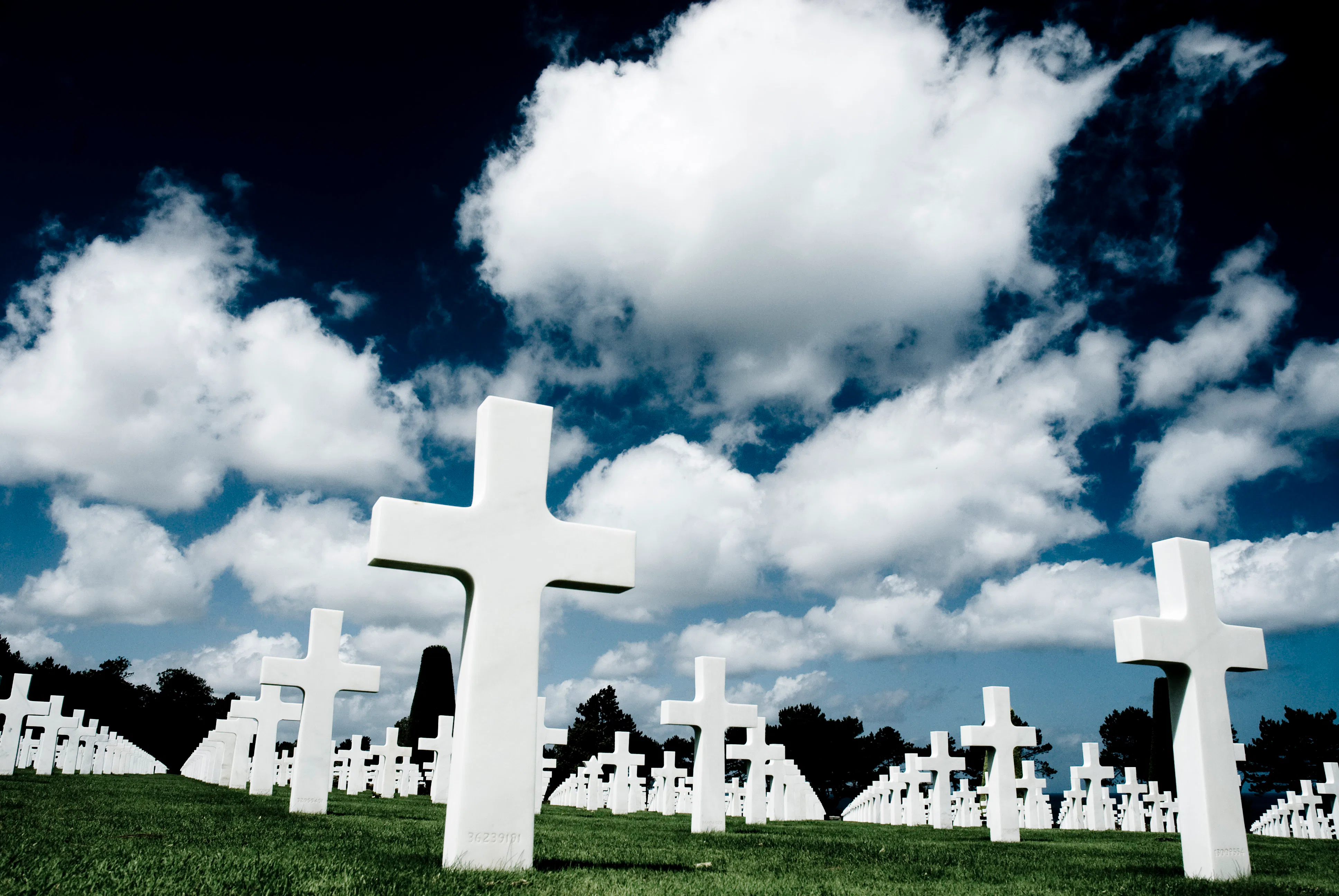Are We Becoming Less Violent? 'War Group' Study Says It's Unlikely