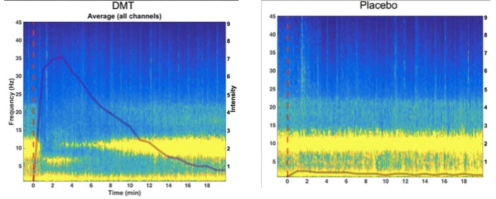 Brain wave study: Why a DMT trip is like entering an alternate reality