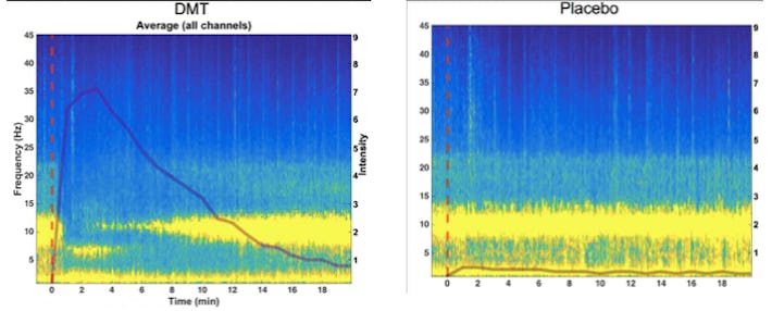 Brain wave study: Why a DMT trip is like entering an alternate reality