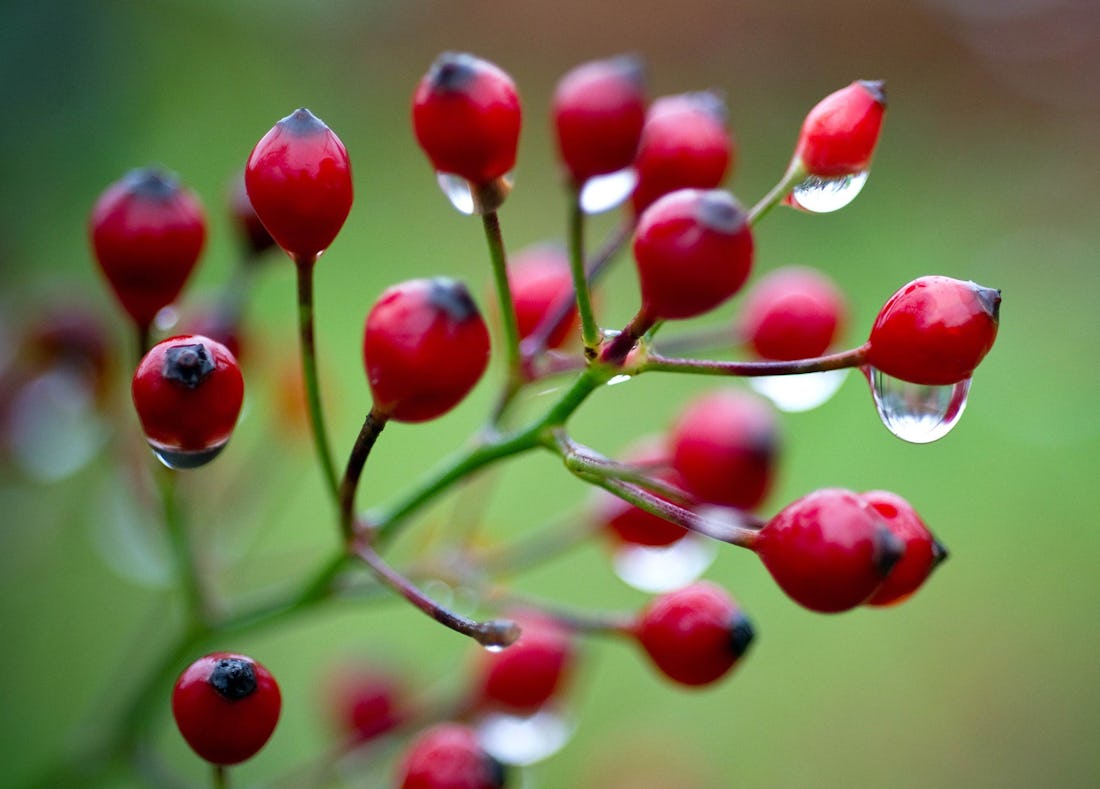 How To Cover Up Bug Bite Scars And Be Free Of Pesky Bumps