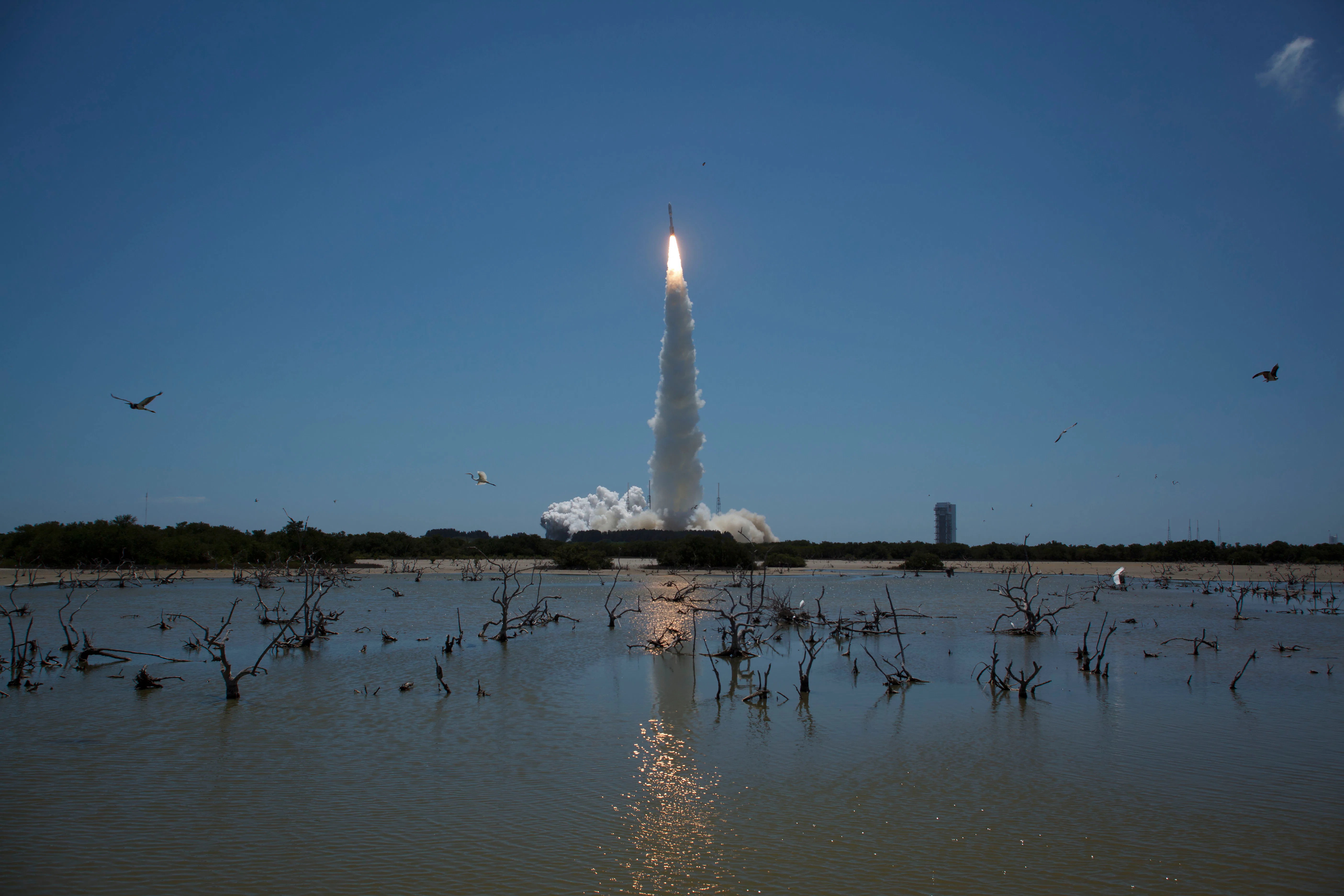 6 Reasons To Look Forward To 2016