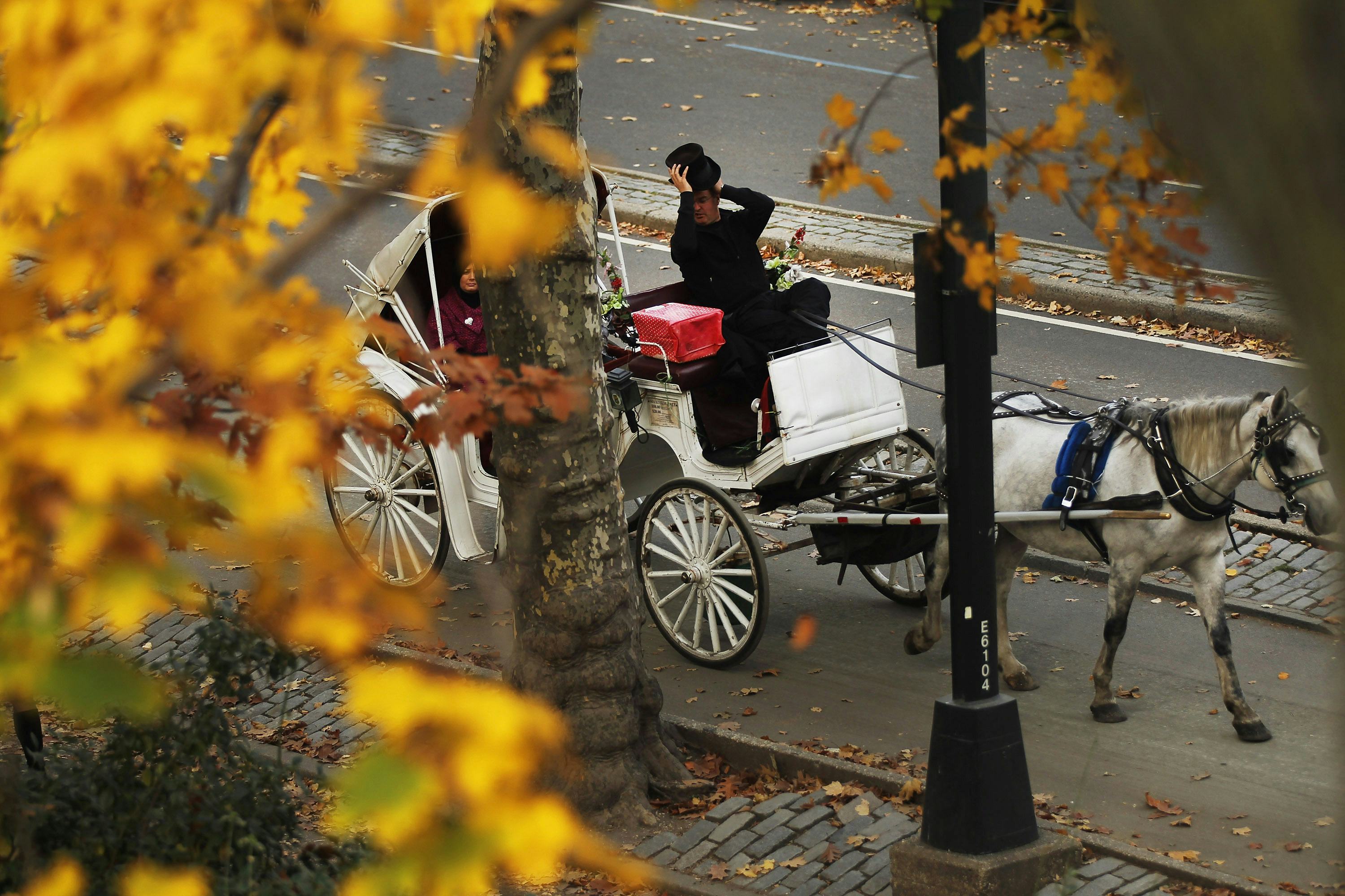 13 Autumn Quotes From Books That'll Make Your Fall Even Cozier