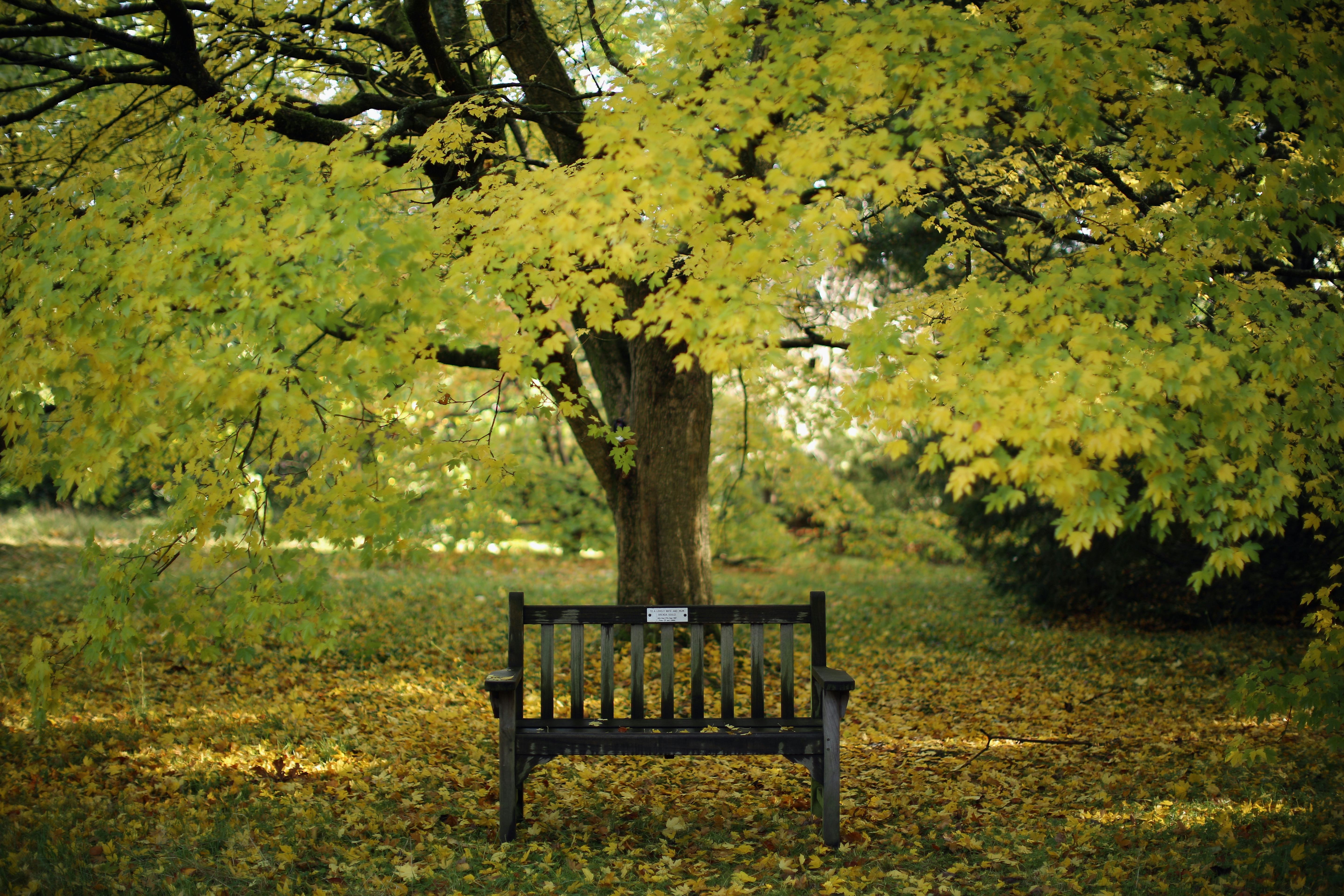 13 Autumn Quotes From Books That'll Make Your Fall Even Cozier