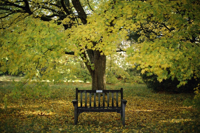 13 Autumn Quotes From Books That'll Make Your Fall Even Cozier