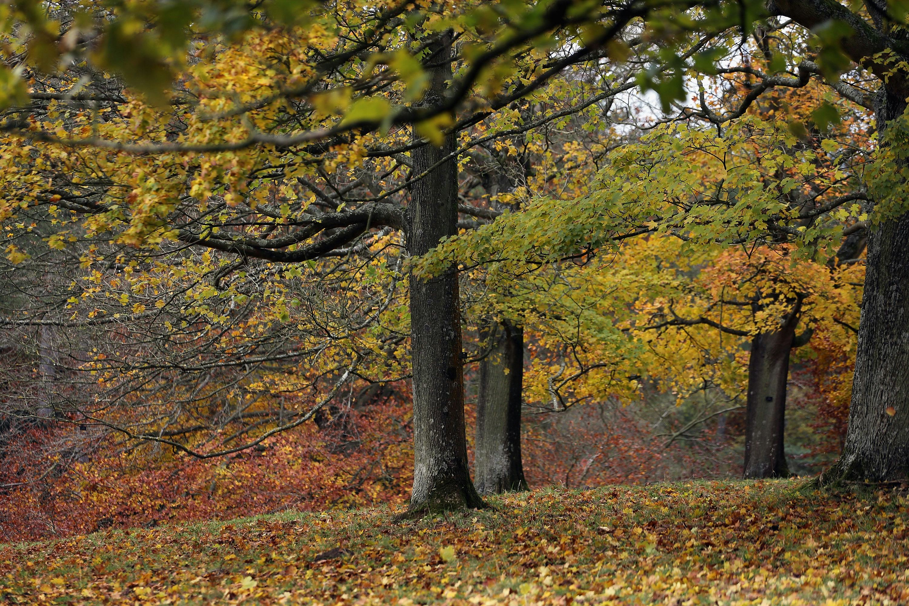 13 Autumn Quotes From Books That'll Make Your Fall Even Cozier