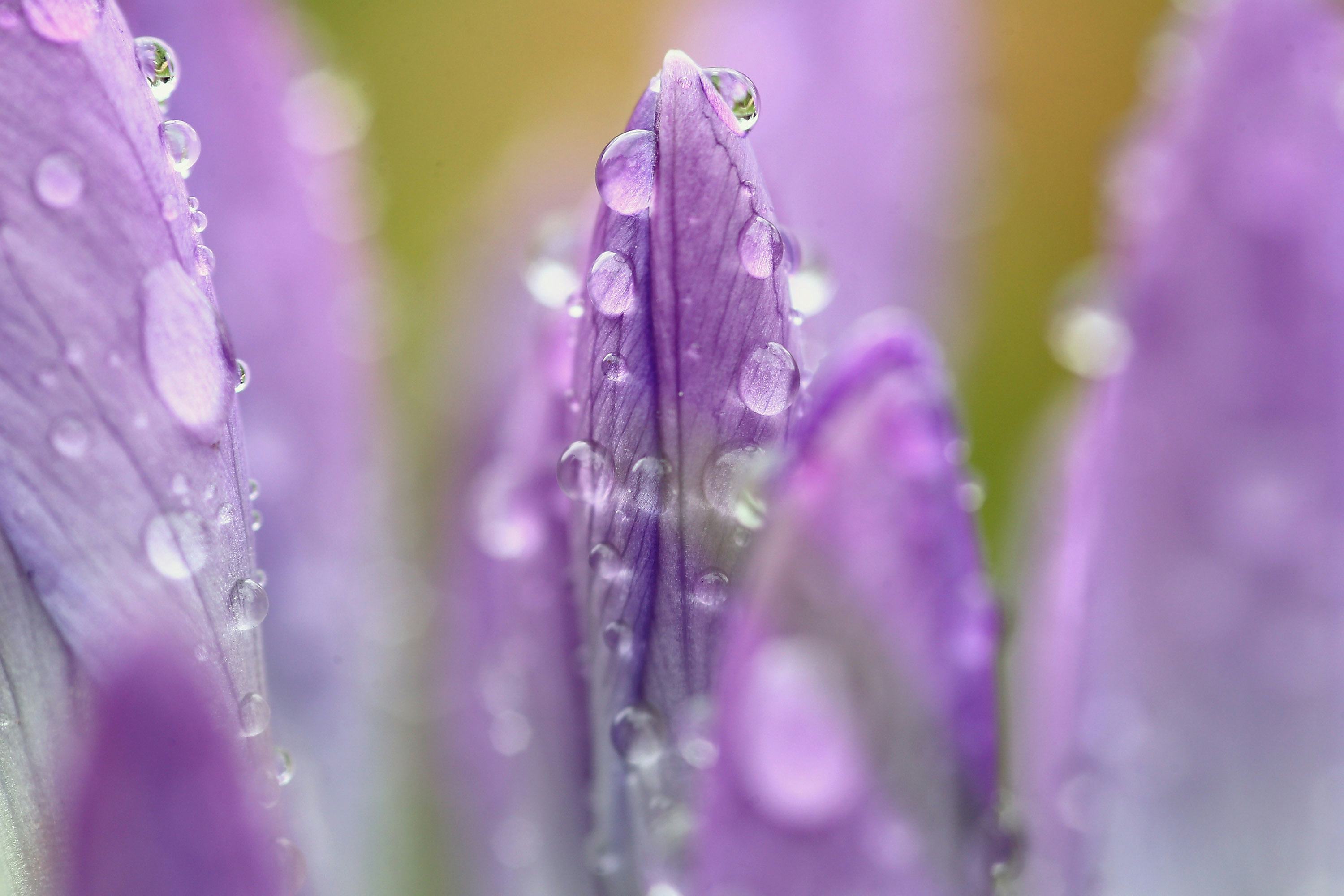 Snow On The First Day Of Spring Isn't As Unusual As You Would Hope