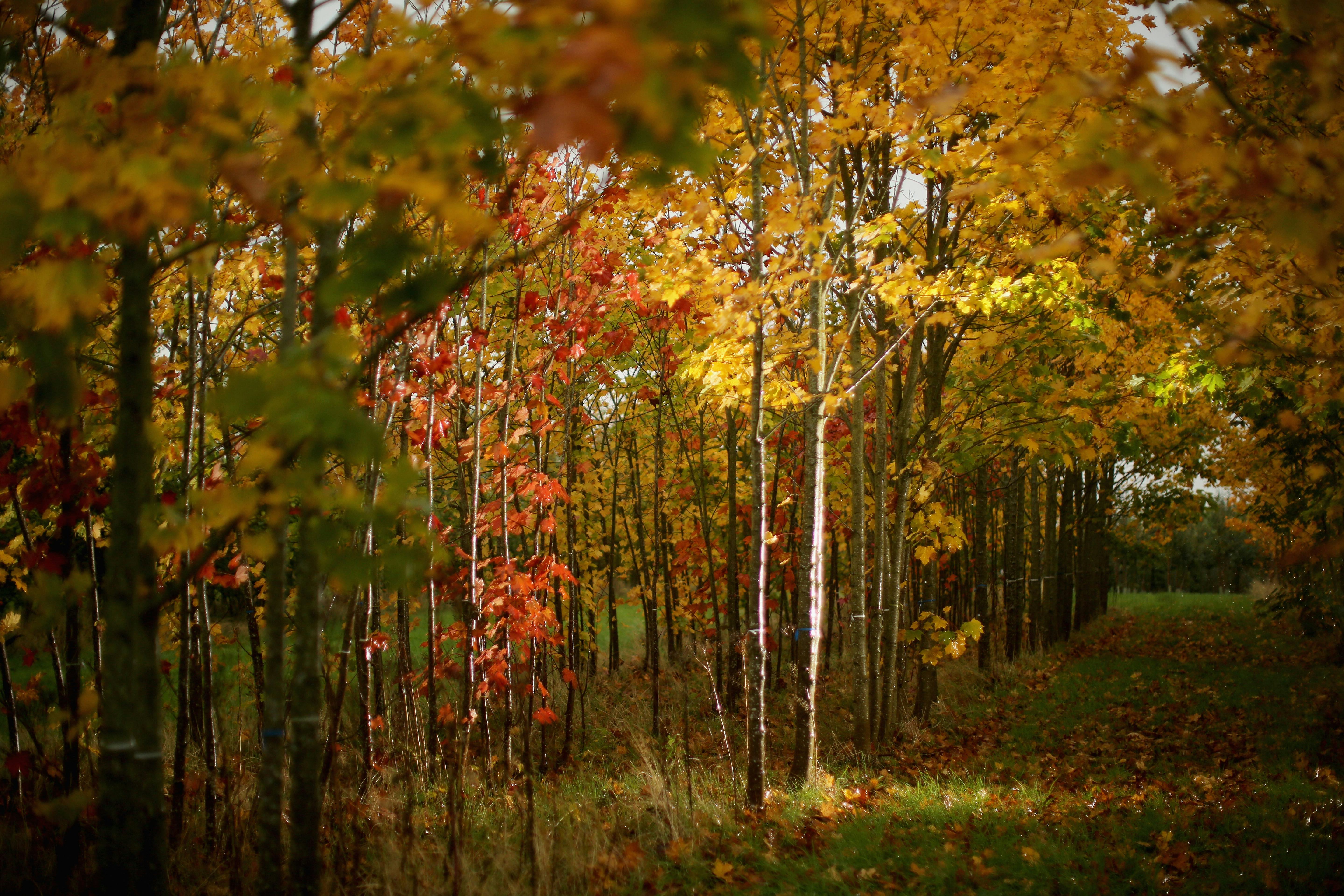 13 Autumn Quotes From Books That'll Make Your Fall Even Cozier