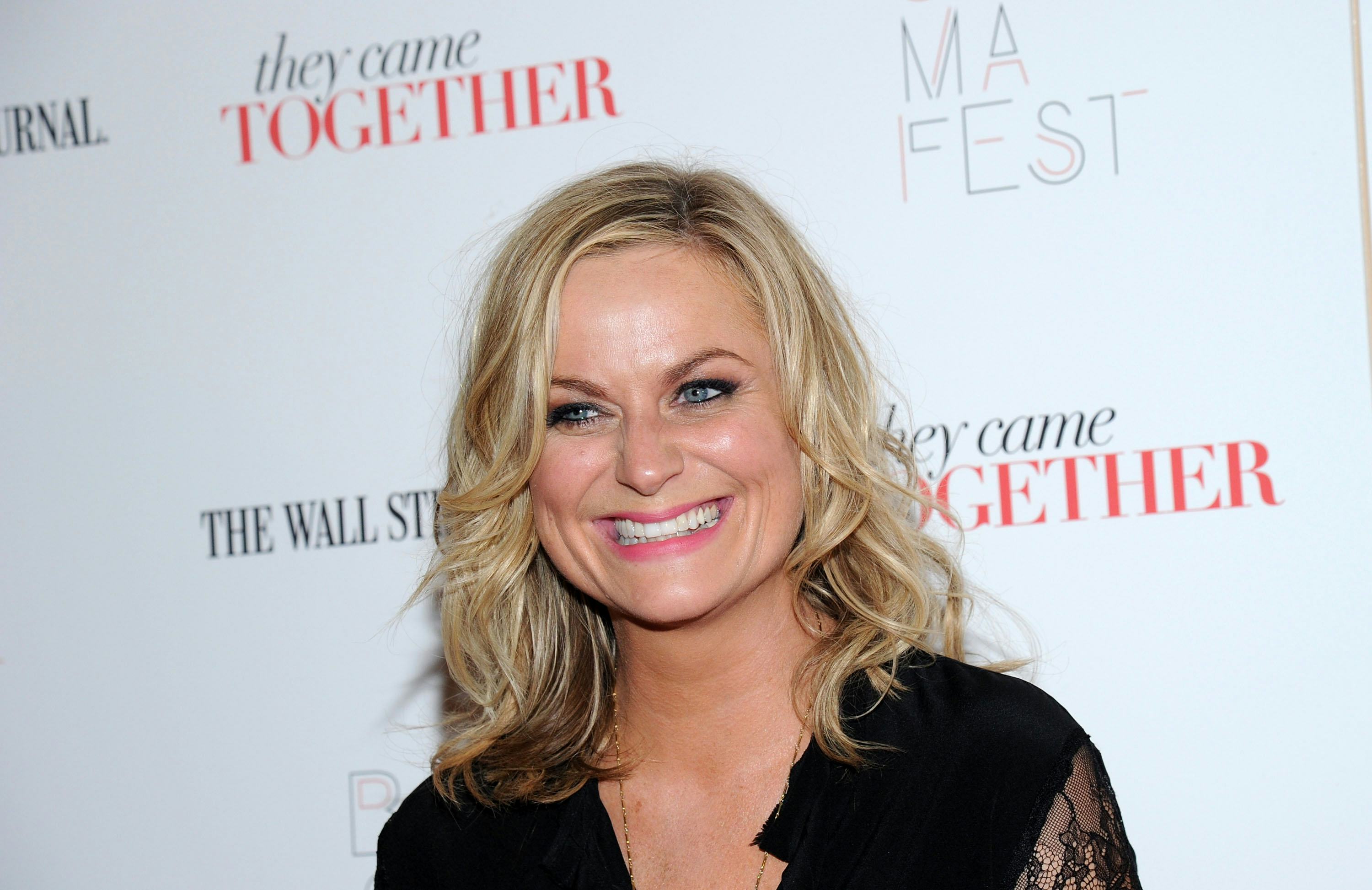 What Is Amy Poehler Doing After 'Parks And Recreation'? The Talented ...