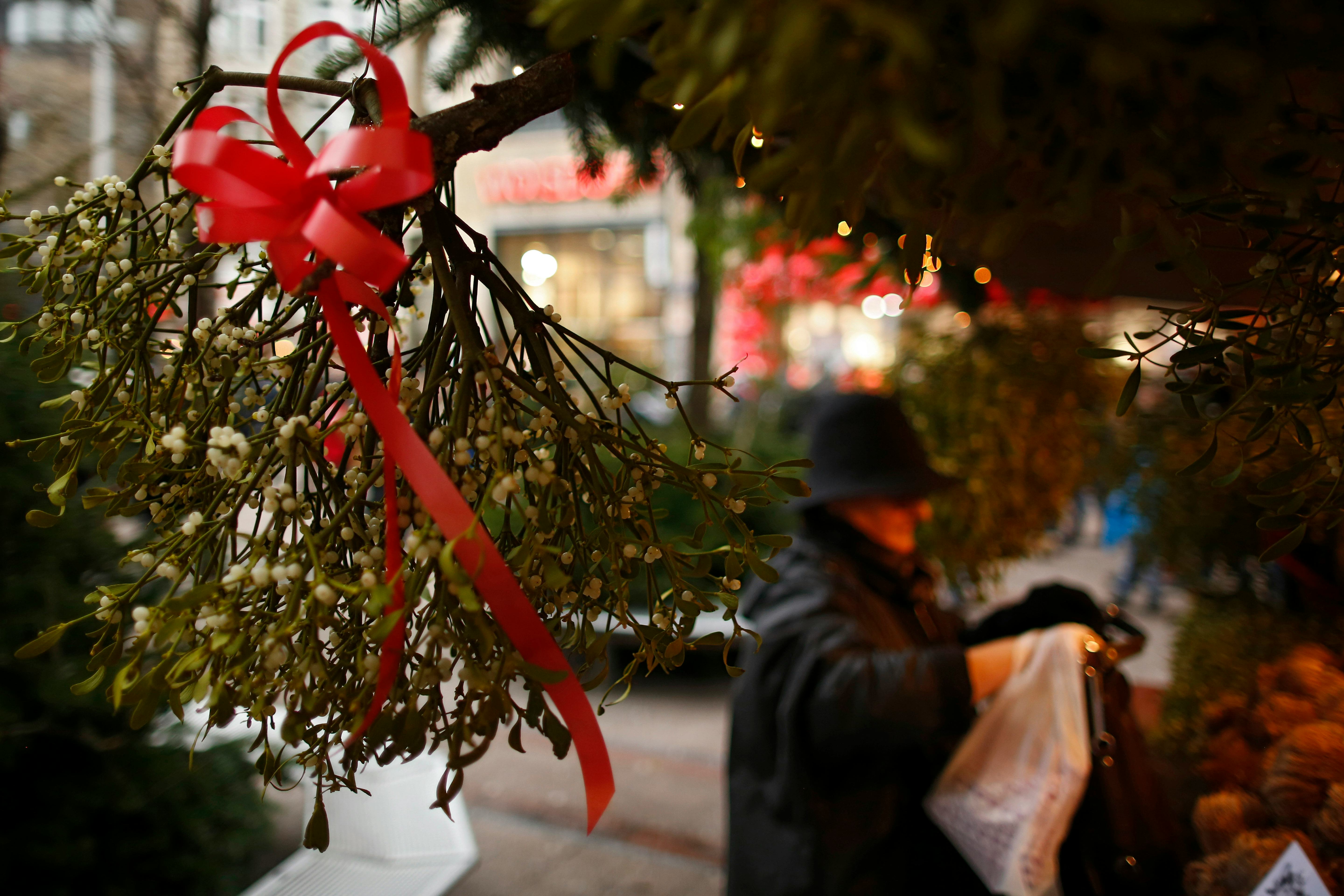 8 Mistletoe Facts That Are So Weird, They Might Make You Rethink This ...