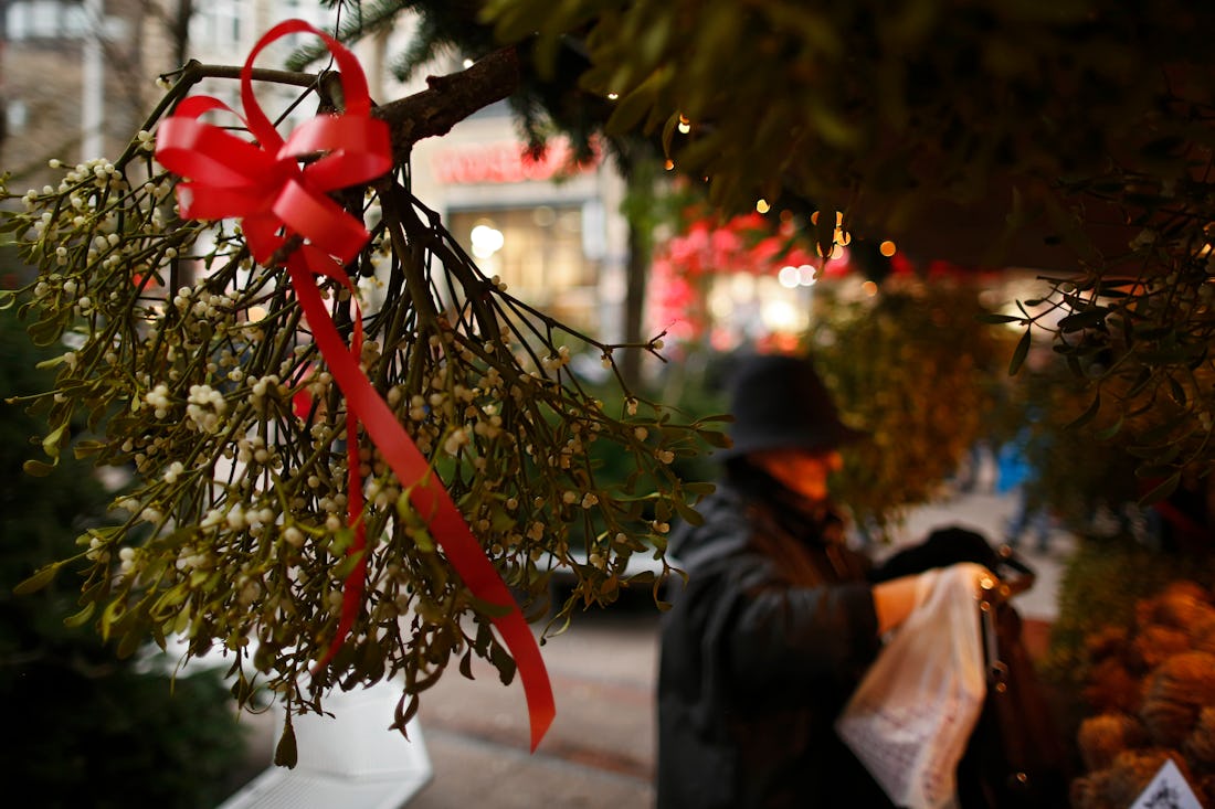 8 Mistletoe Facts That Are So Weird, They Might Make You Rethink This ...