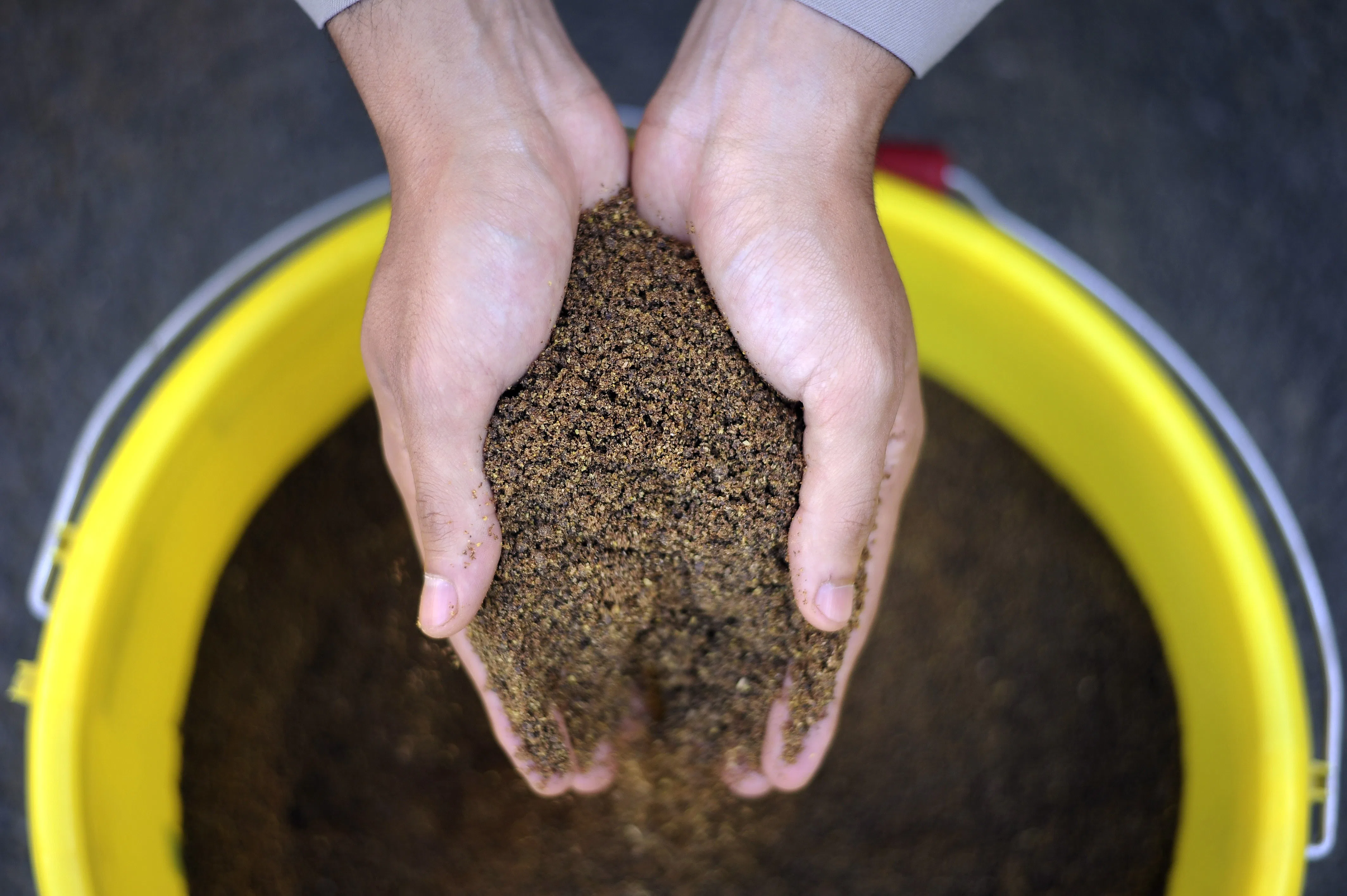 4 Spring Equinox Traditions From Around The World