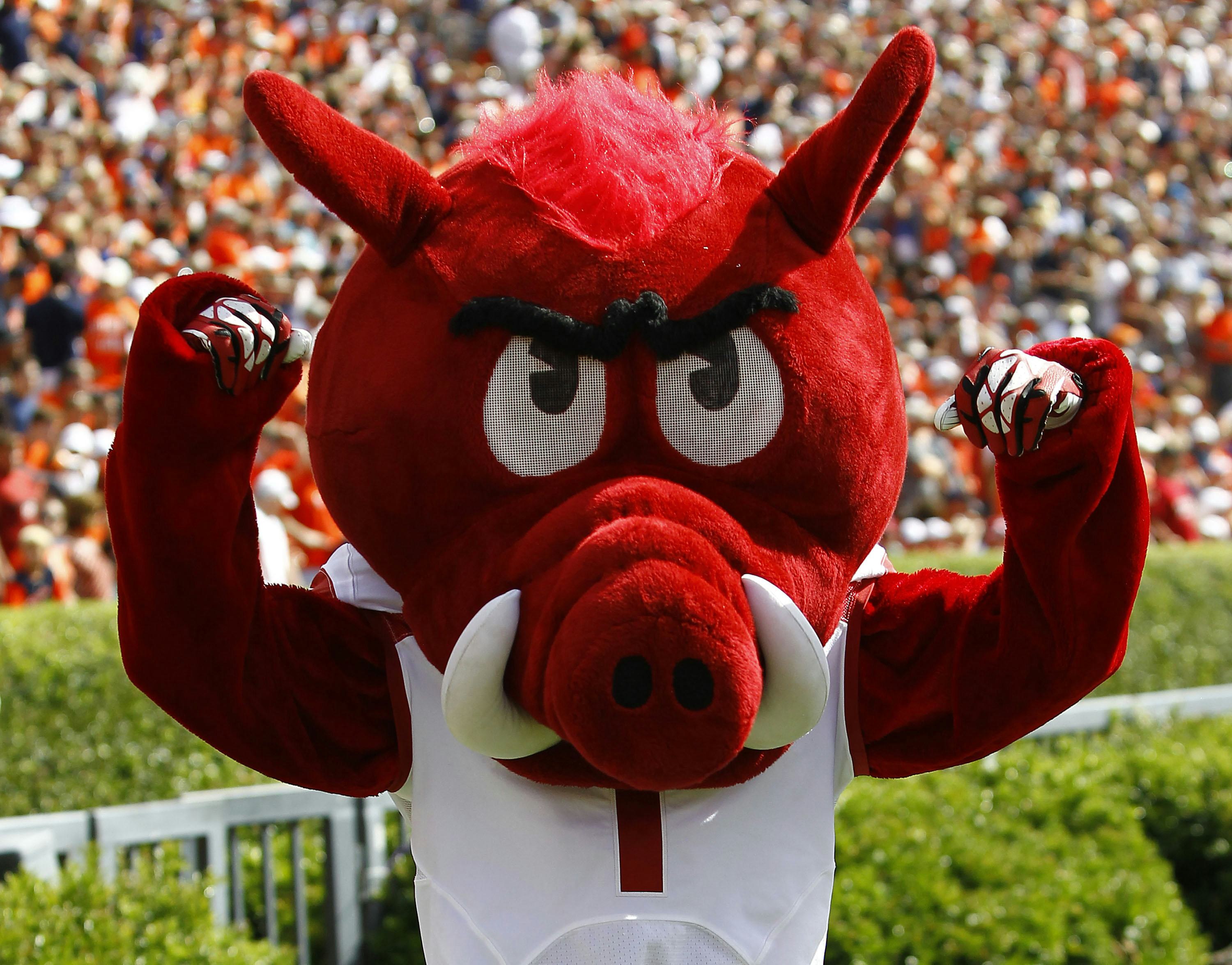16 March Madness Mascots Ranked By Randomness