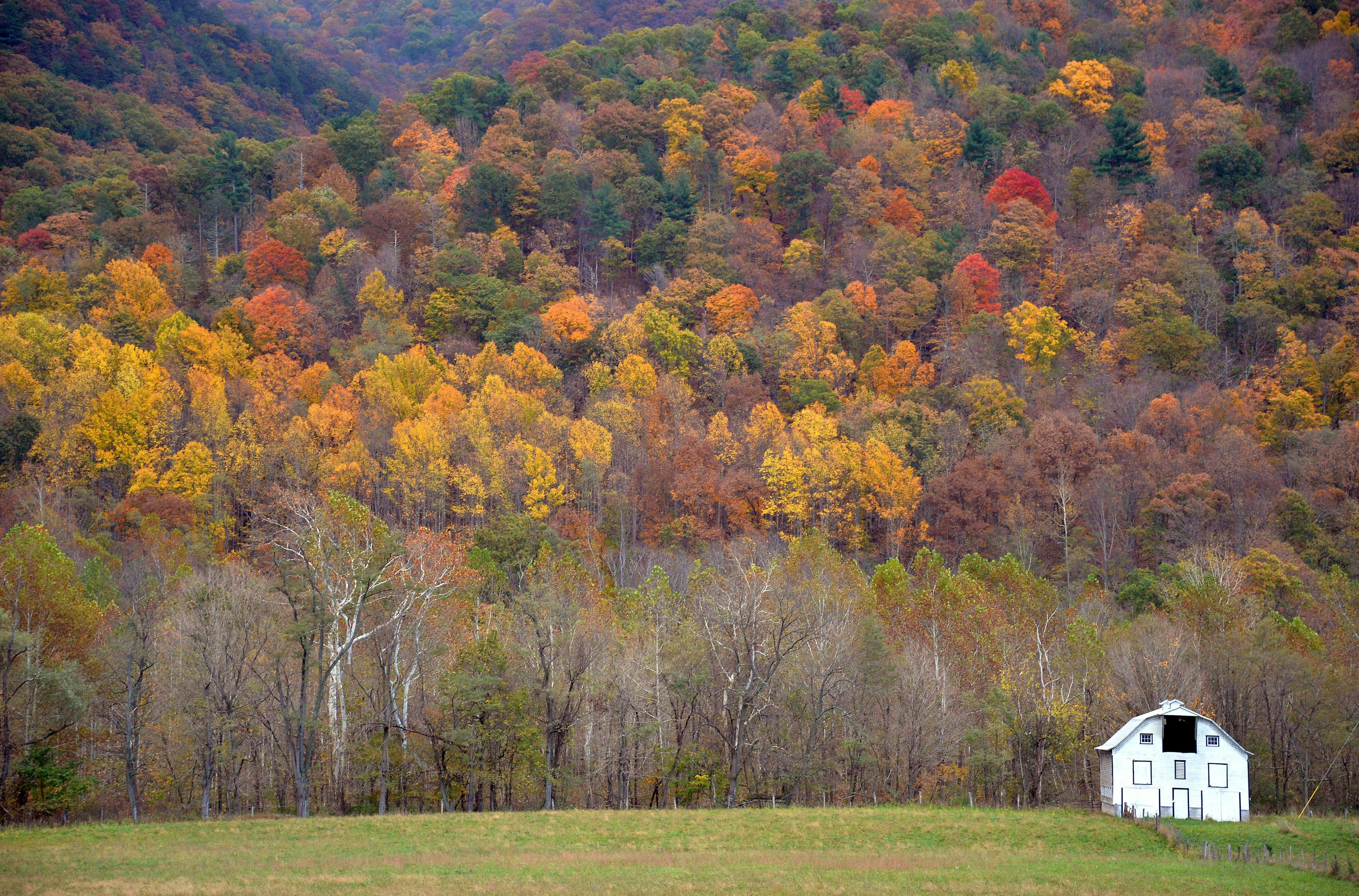 10 Best Places To See Leaves Change In The U.S. Now That It's Finally Fall