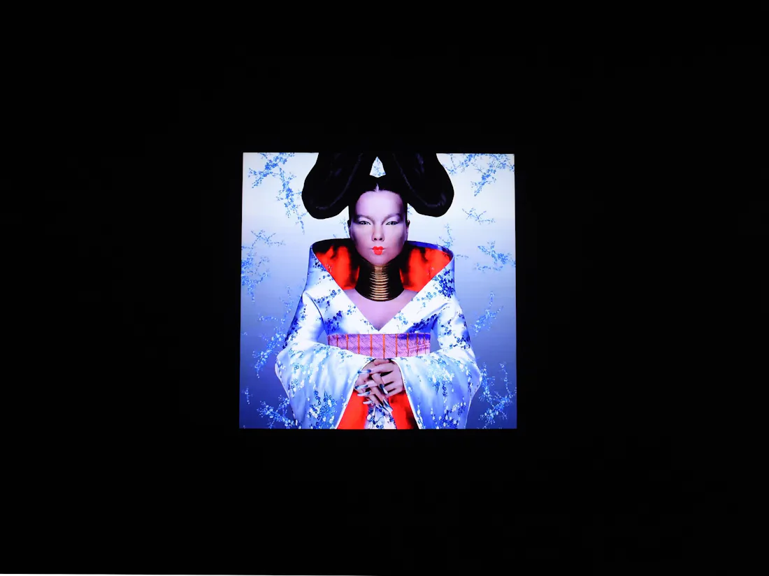 Bjork Named One Of 'TIME' Magazine's Most Influential People — So Let's ...