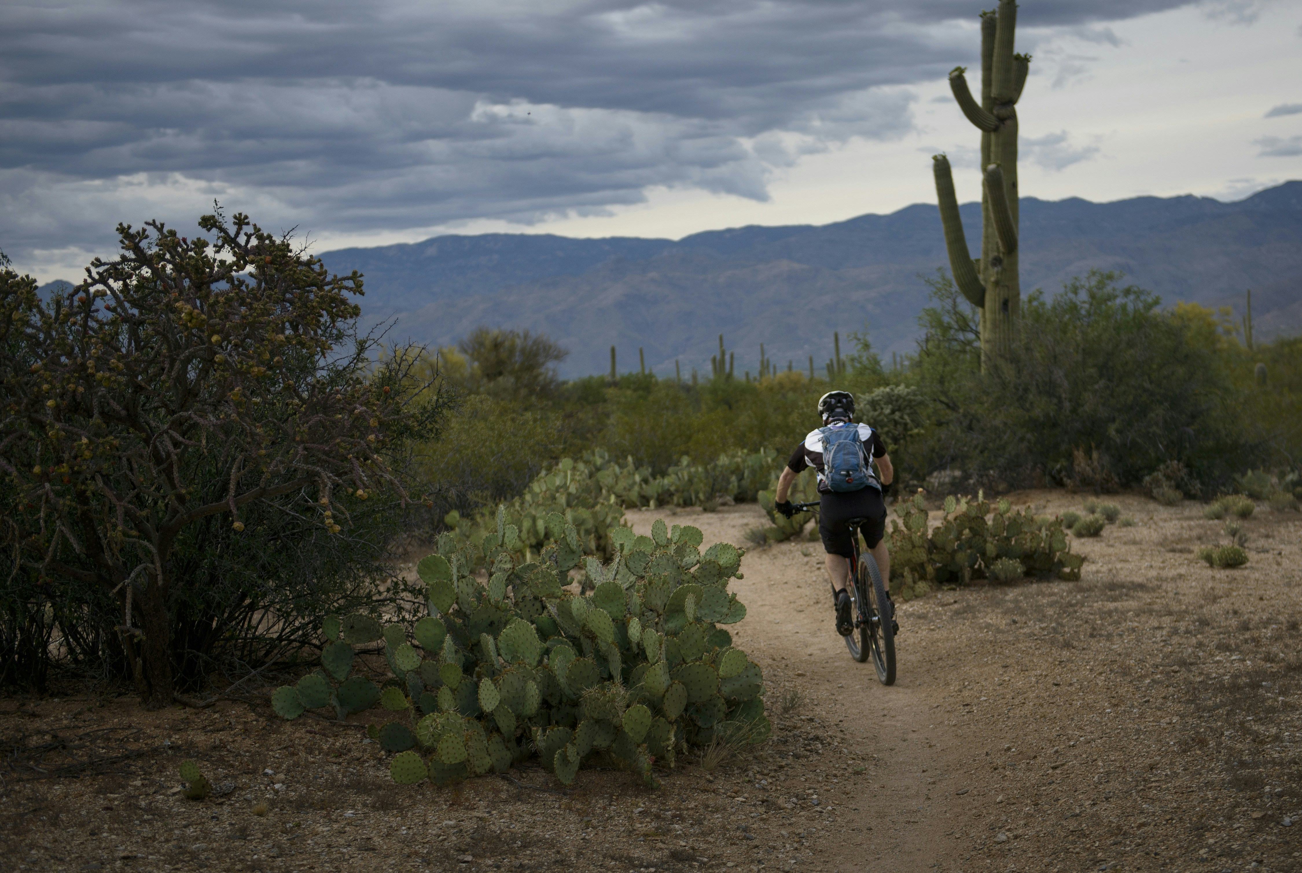 The Best City For Biking: The 10 Best Cities in the U.S. For People Who ...