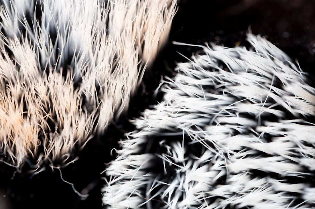 7 Gross Infections You Can Catch From Not Washing Your Makeup Brushes