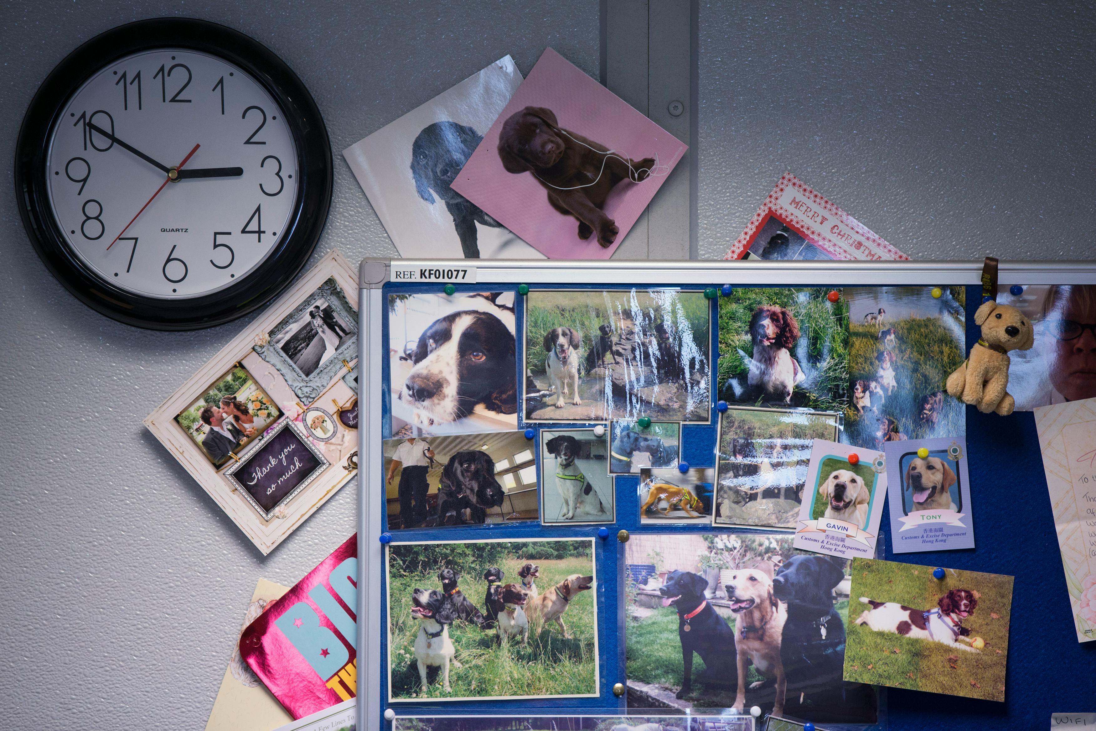 14 Fun Decorating Ideas For Your Desk To Make Work More Fun