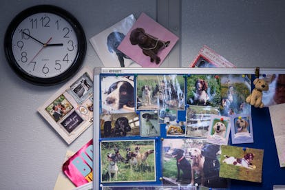 14 Fun Decorating Ideas For Your Desk To Make Work More Fun