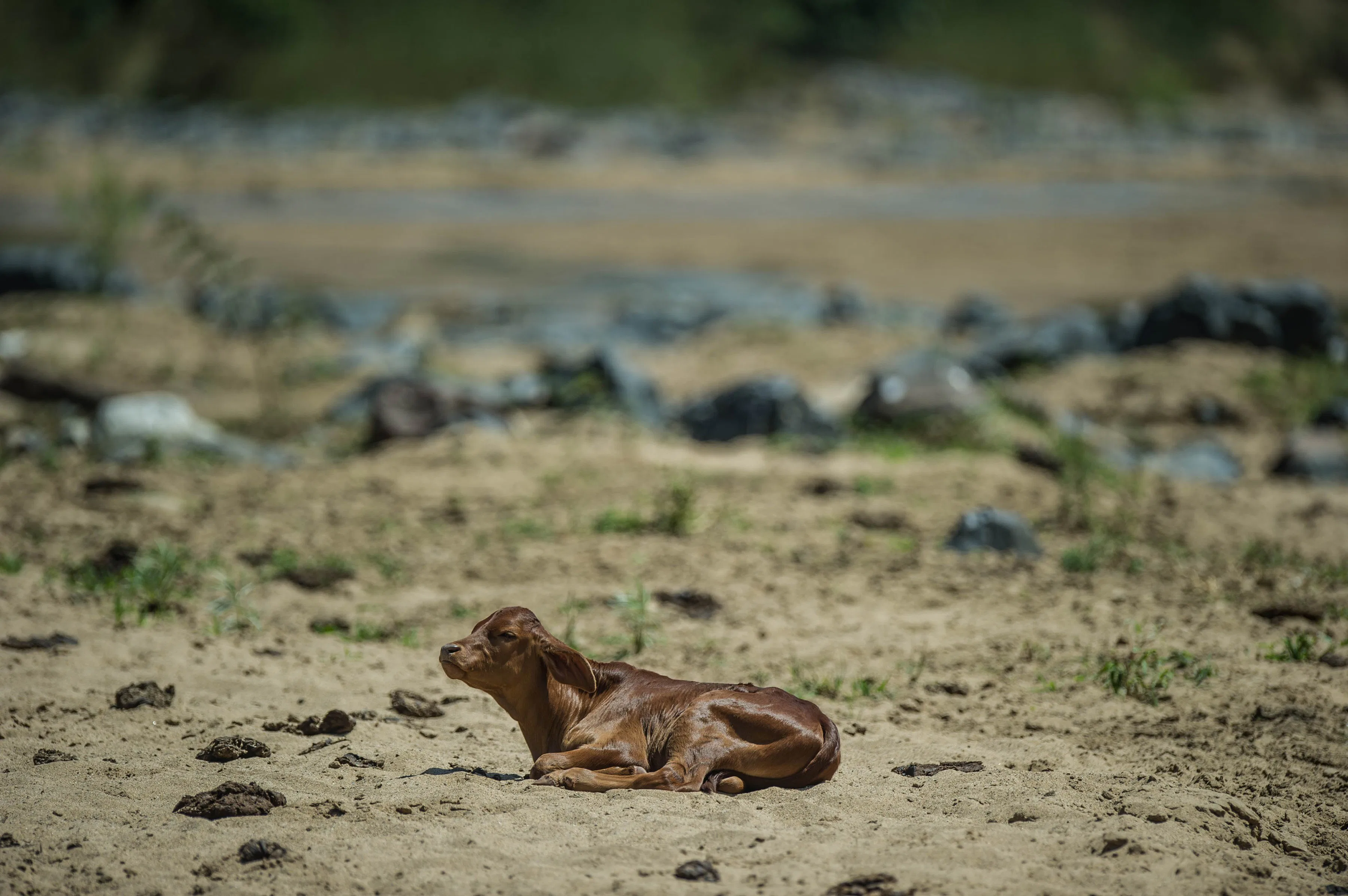 8 Scary Facts About Climate Change That Will Make You Glad 150 World ...