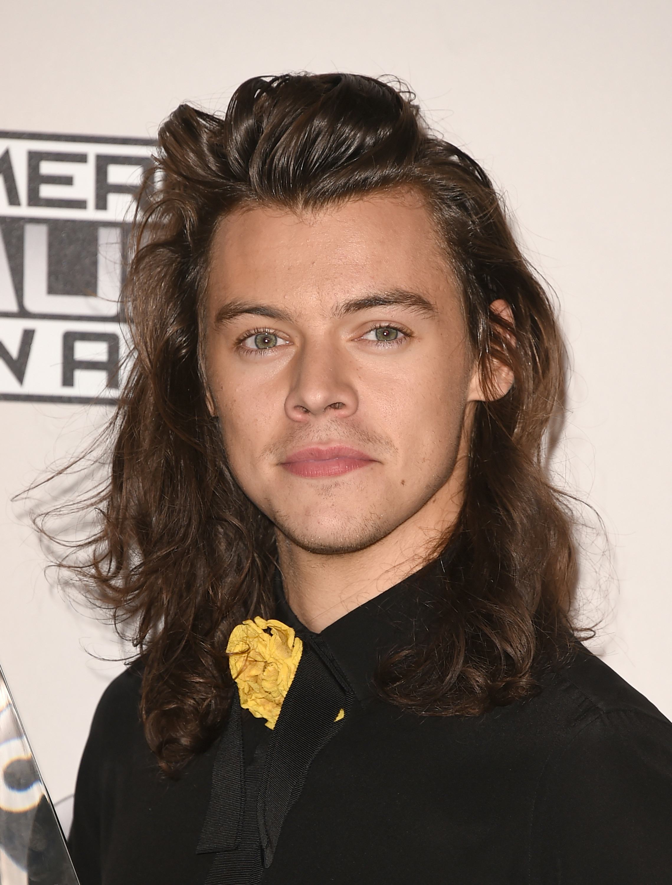 9 Short Hairstyles Harry Styles Should Consider Once He Makes The Chop ...