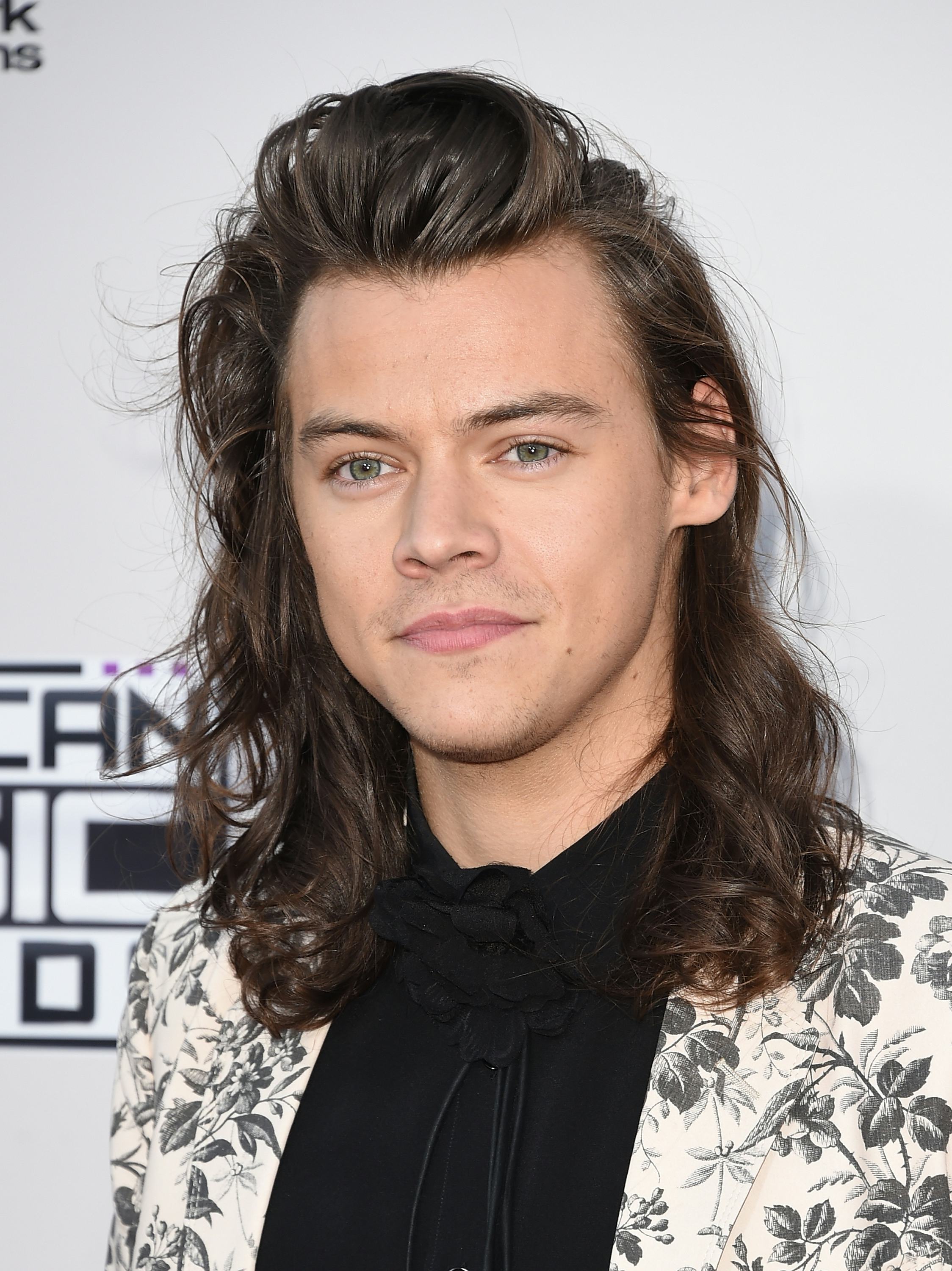 Why Is Harry Styles Hiding His New Hair? A Few Possible Explanations ...