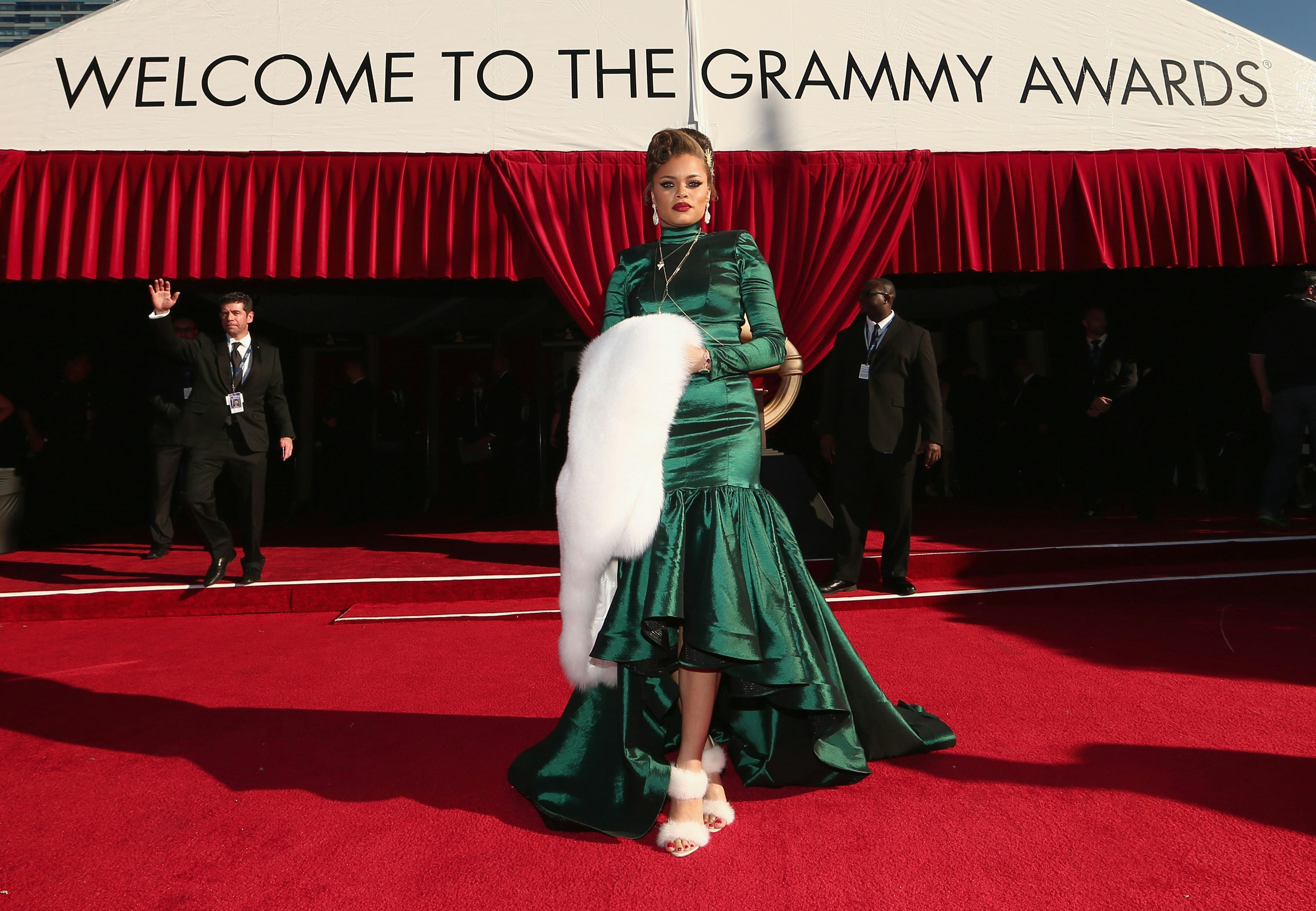 All The Looks At The 2016 Grammy Red Carpet Were Loud, Glamorous, & So ...